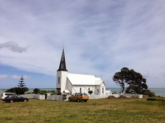 Pohutukawa on the East Coast
