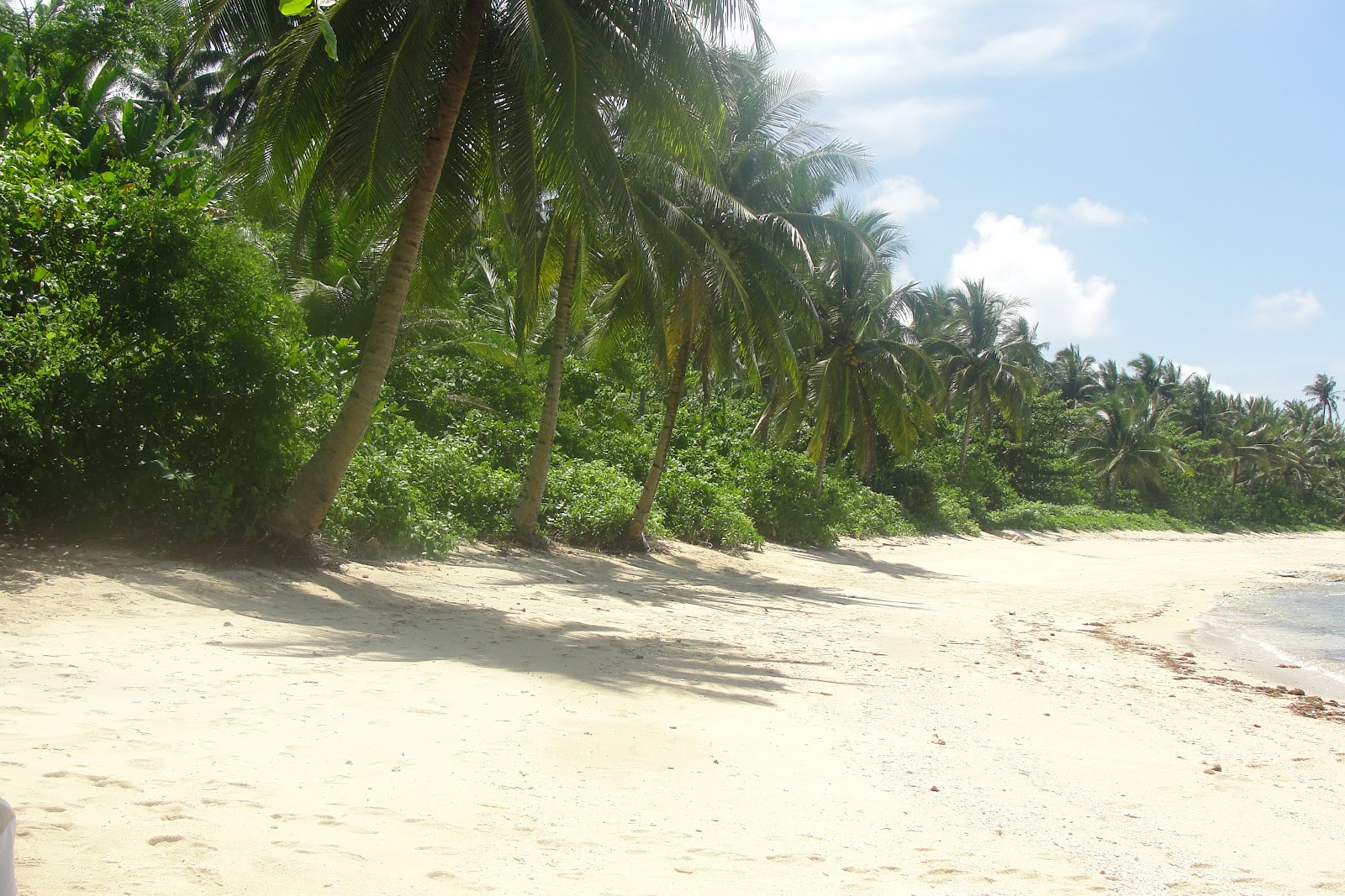 In My SiLenT LuCidiTy: Summer Getaway at Pinamuntugan Island!
