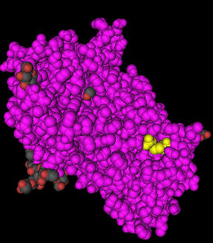 Fabry Disease and the GLA Gene