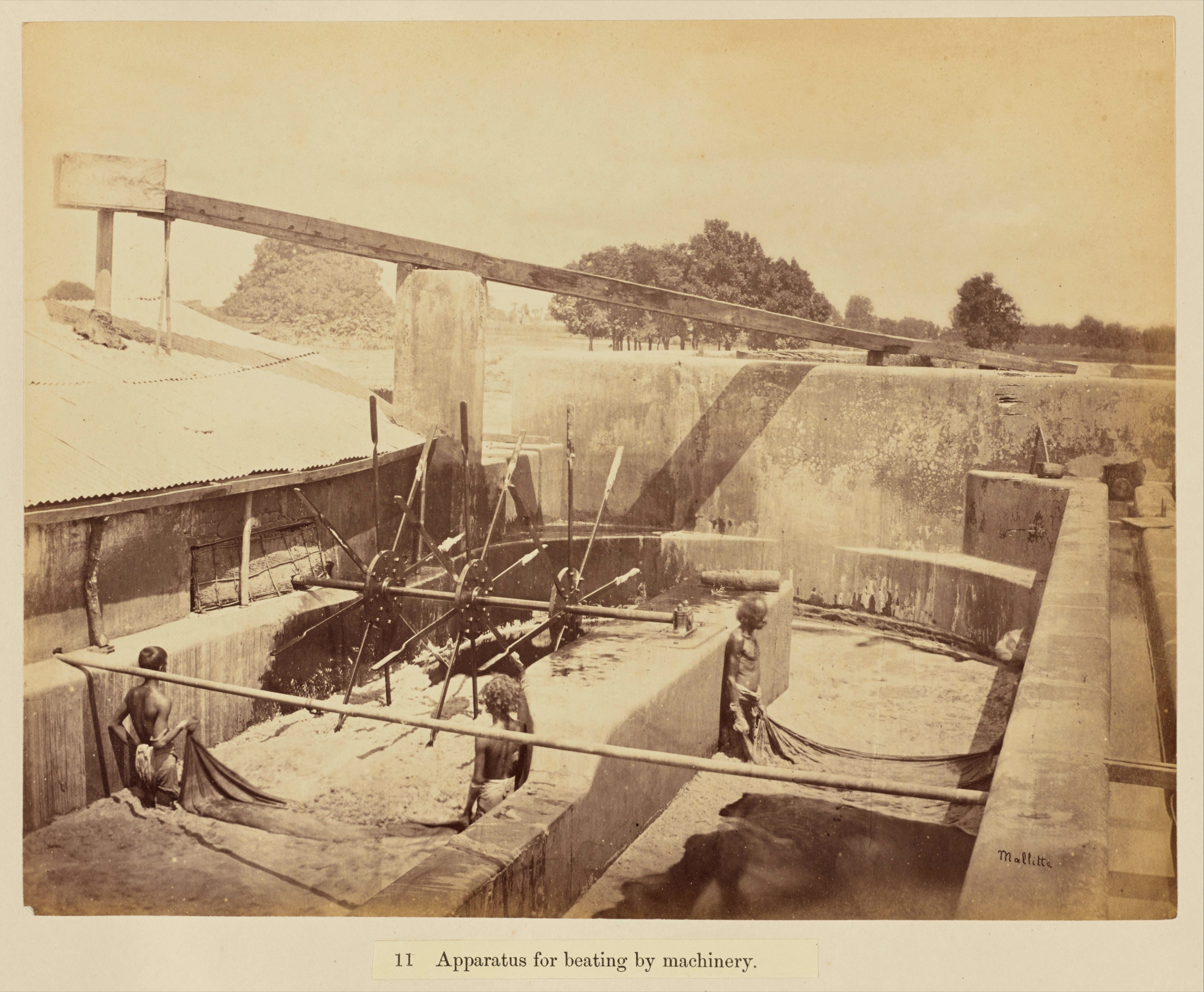 The Planting & Manufacture of Indigo in India by French photographer ...