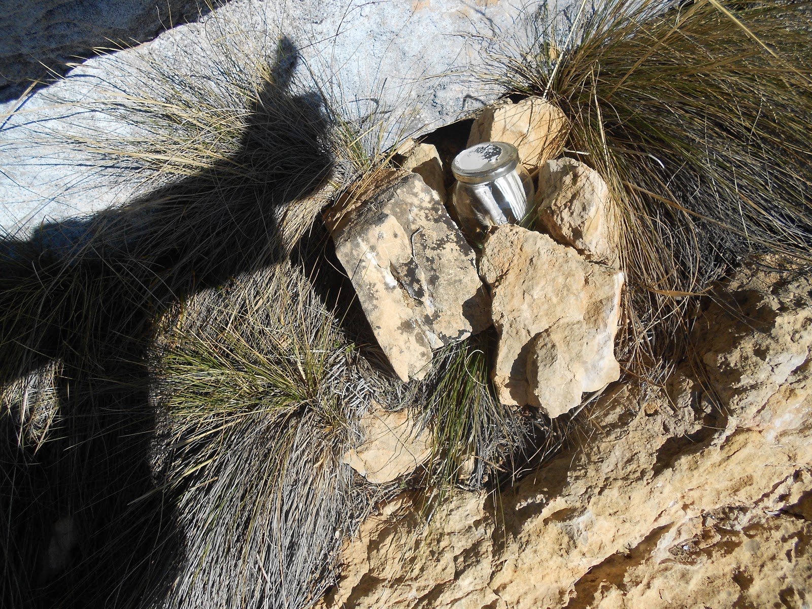 Romàntic Guerrer: L'Esperó Mohicà al Peladet Oriental.