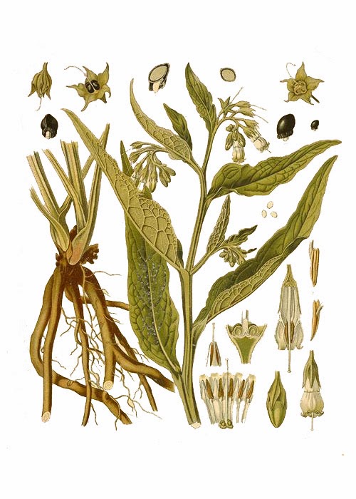 El Jardín de Judith: LA CONSUELDA TODO LO SUELDA