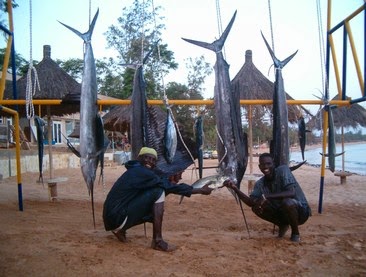 Pesca em Angola