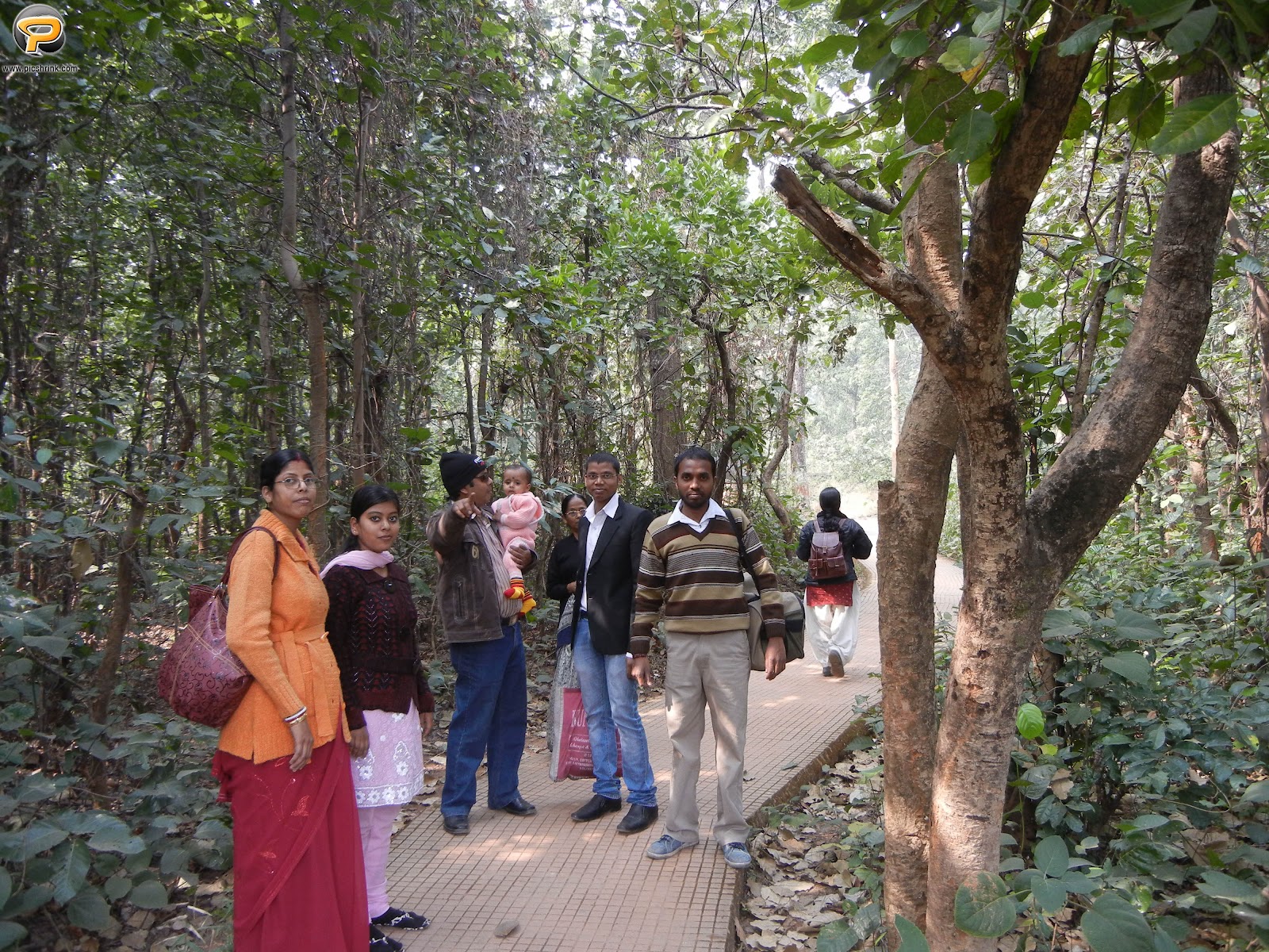 AMIMAANSI: Birsa Zoo Ormanjhi ,Ranchi