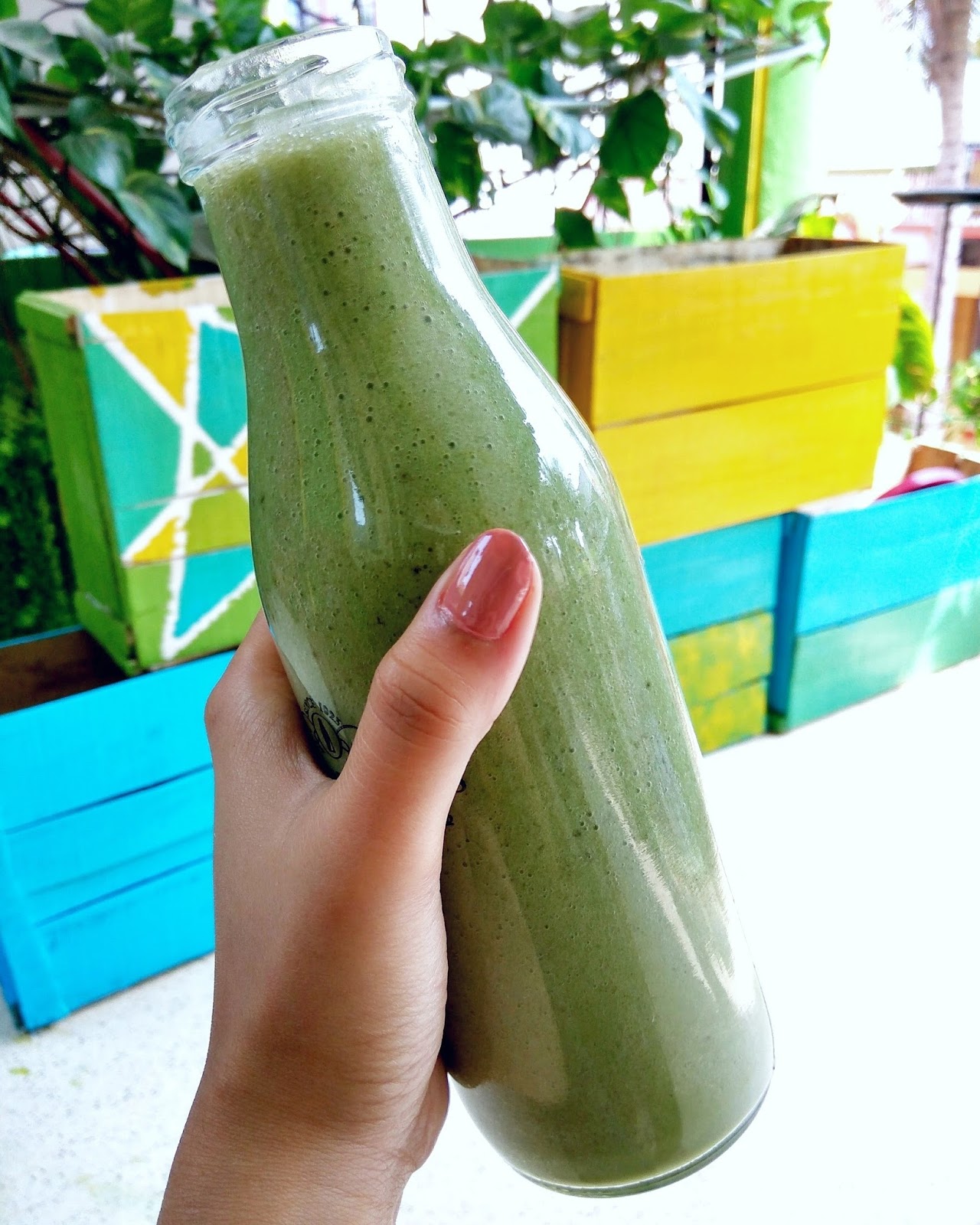 The Sassy Hair Growth Booster Smoothie