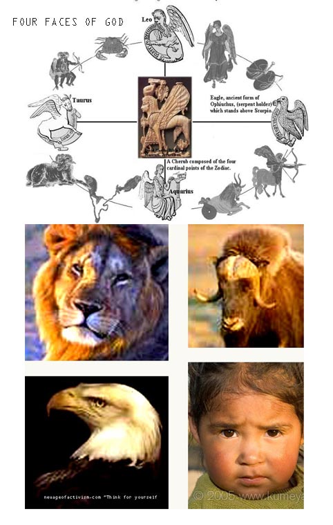 Newageofactivism.com presents : Sri Krsna Chaitanya is my Lord and ...