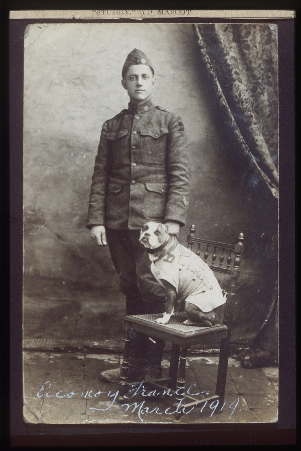 Inspired by Savannah: SGT. STUBBY: AN AMERICAN HERO Arrives on Blu-ray ...