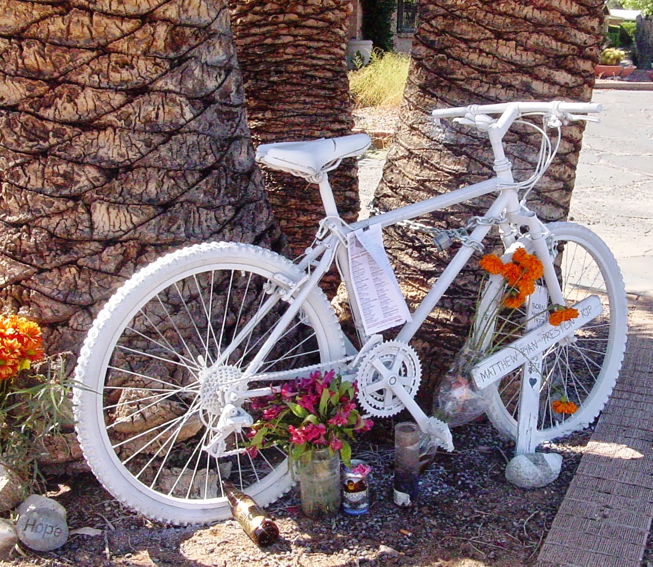 Tucson Daily Photo ~: Meaningful Memorial