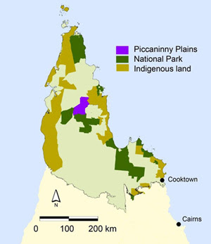 Cats, Rats, and Camera Traps: Piccaninny Plains: where BIG rats are ...