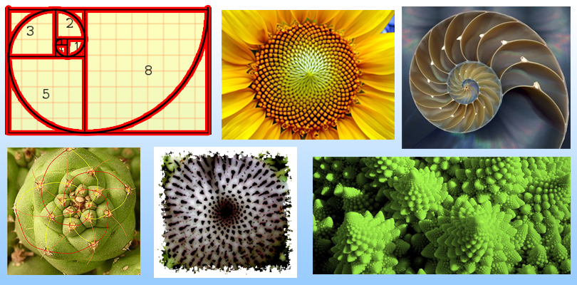 MMSorge - Frequências Fibonacci: Quem foi Fibonacci? MMSorge - Frequências Fibonacci: Quem foi Fibonacci?