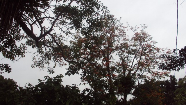 paisagens naturais de itagi-ba | Itagi-bahia