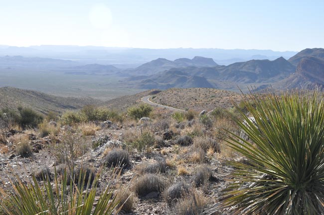 One Dusty Track: Postcard From Big Bend National Park