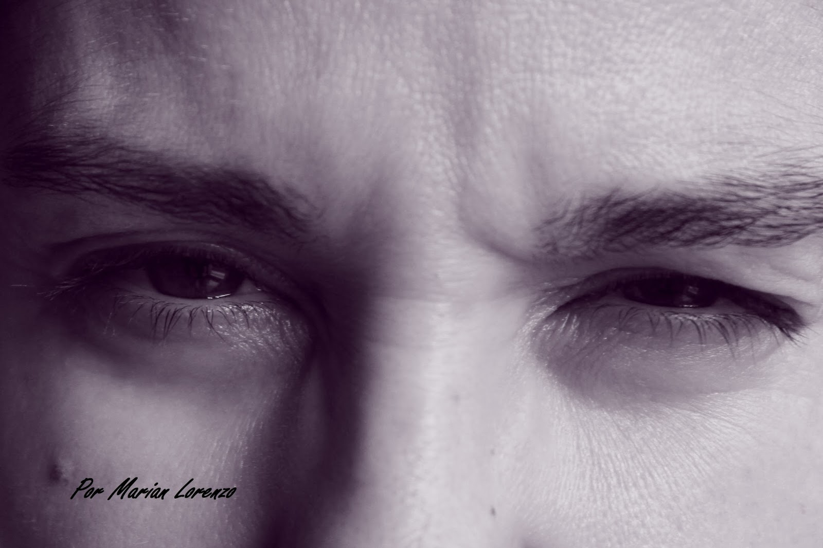 Evolucionando: La mirada de la ira