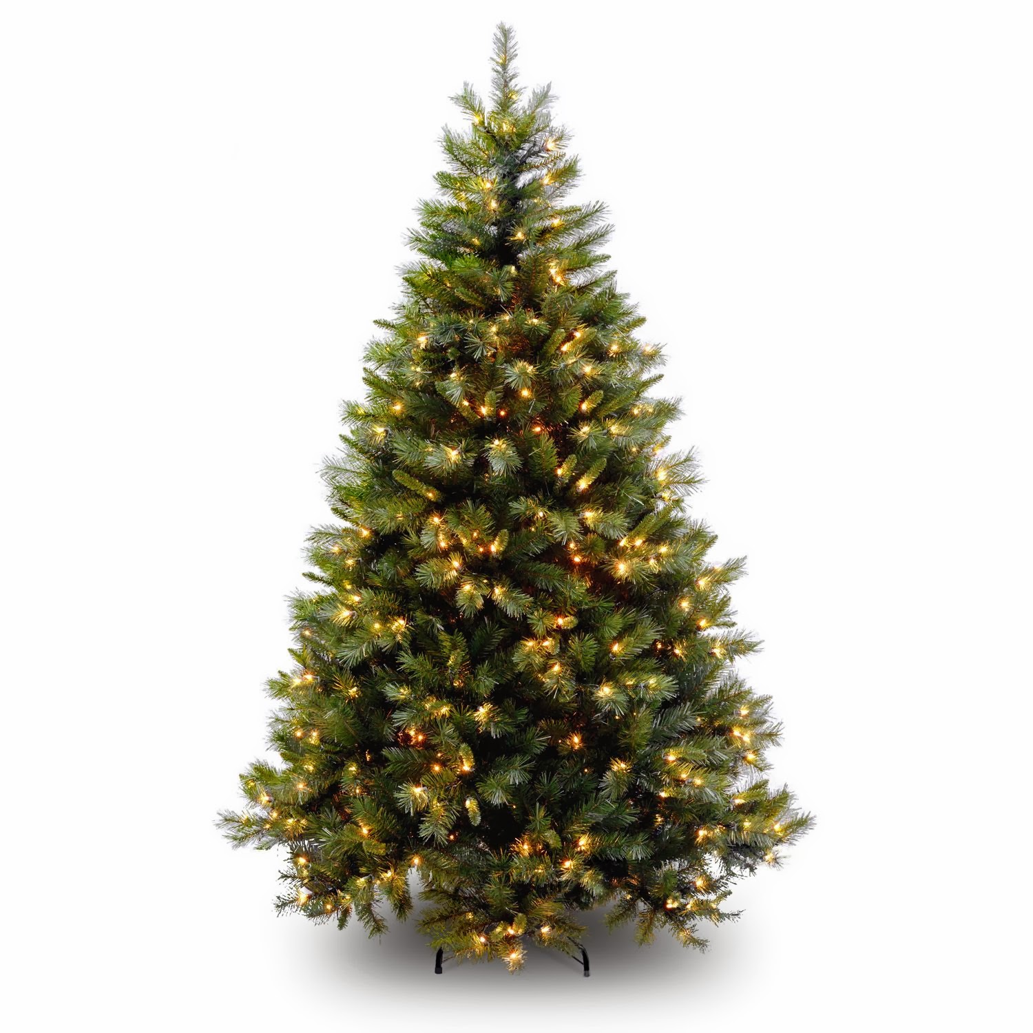 All About Babies: 5 Popular Plants and Flowers for Christmas