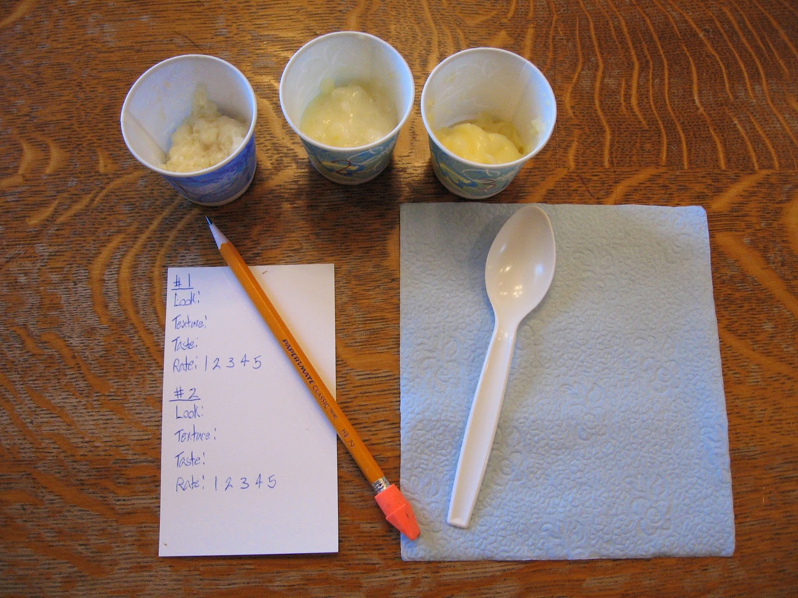 Almost Unschoolers: Summer Fun 2014 - Tapioca Tasting - Starch Play for ...