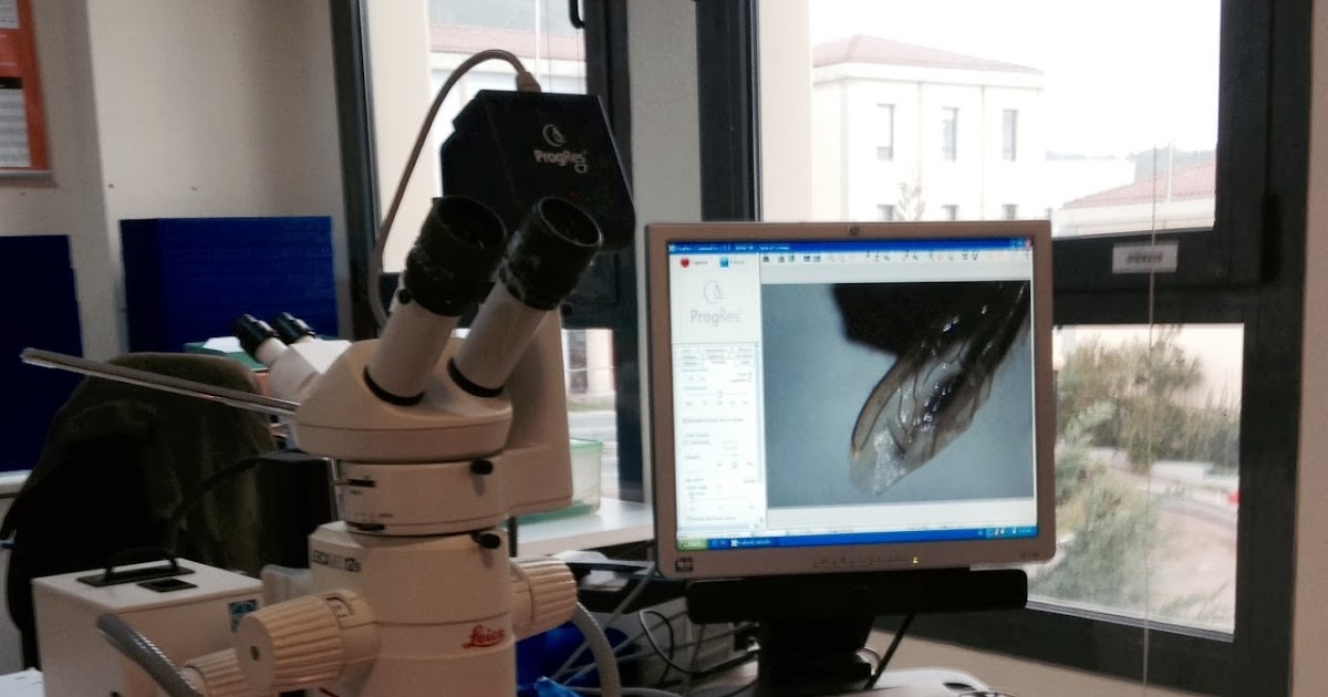 The Biogeography & Ecology Lab: Equipment