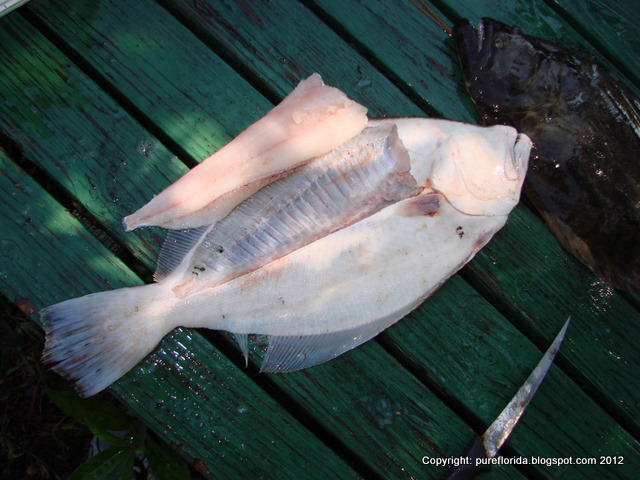 PURE FLORIDA: HOW TO CLEAN A FLOUNDER