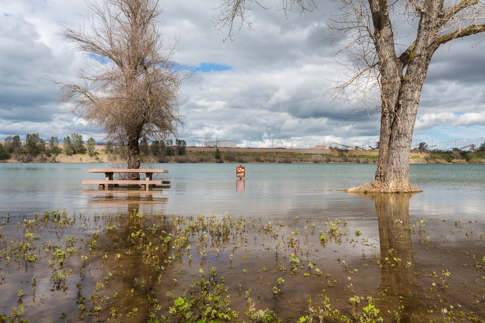 Naturetastic Blog: Shadow Cliffs Regional Park (3/4/2017) - Pleasanton, CA