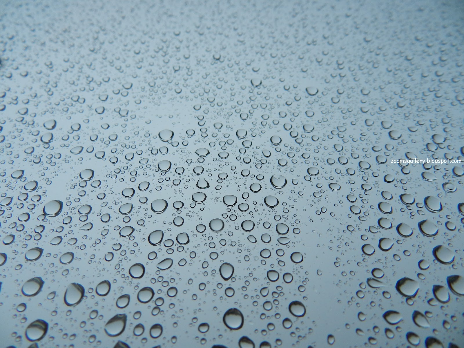 Zooms Gallery: Gotas