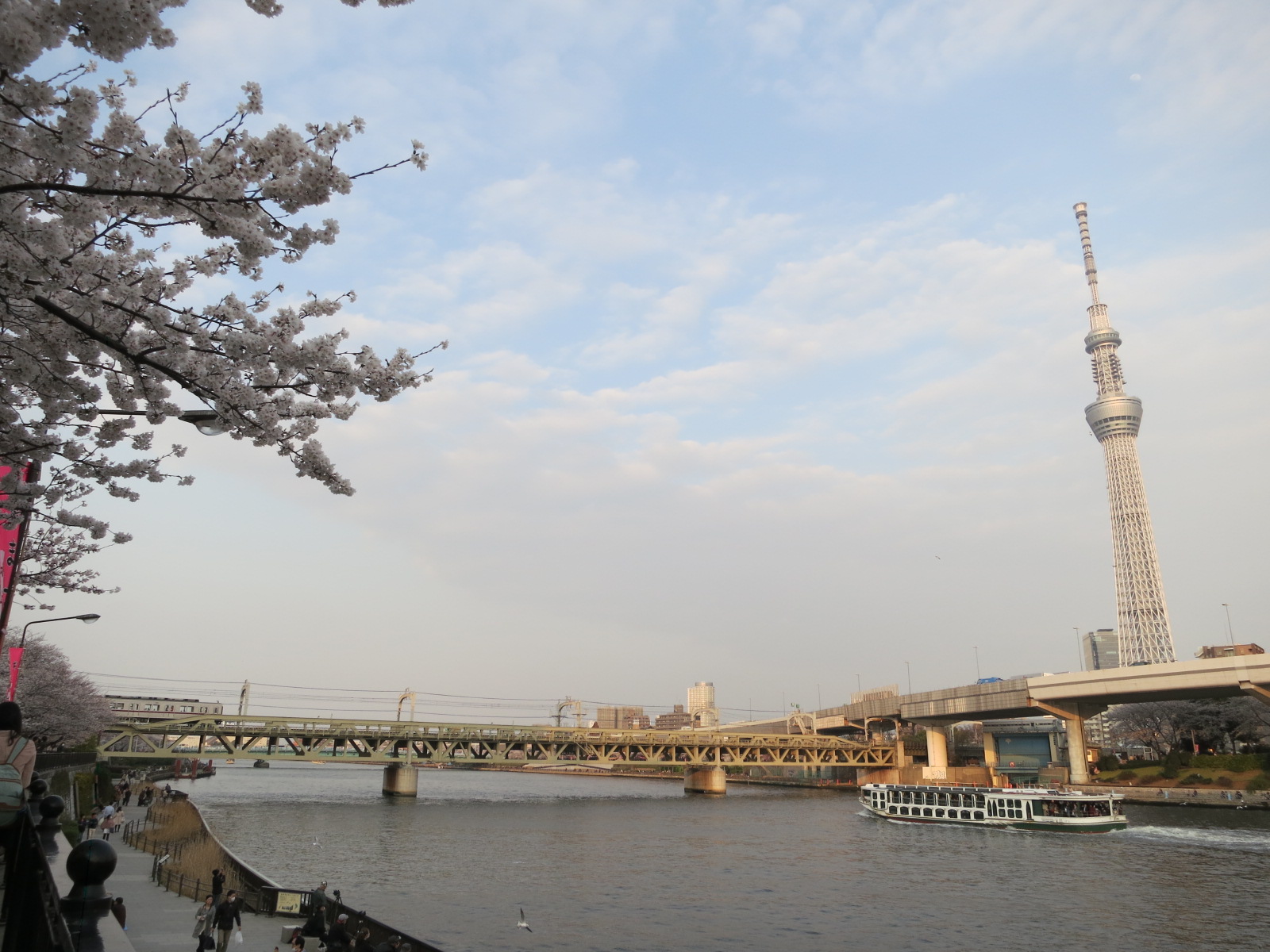 Japan Concierge's Travelog: Sakura - Cherry Blossoms at Sumida River