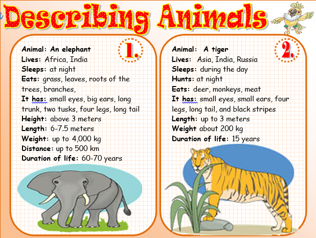 My bilingual talent: ANIMALS DESCRIPTION