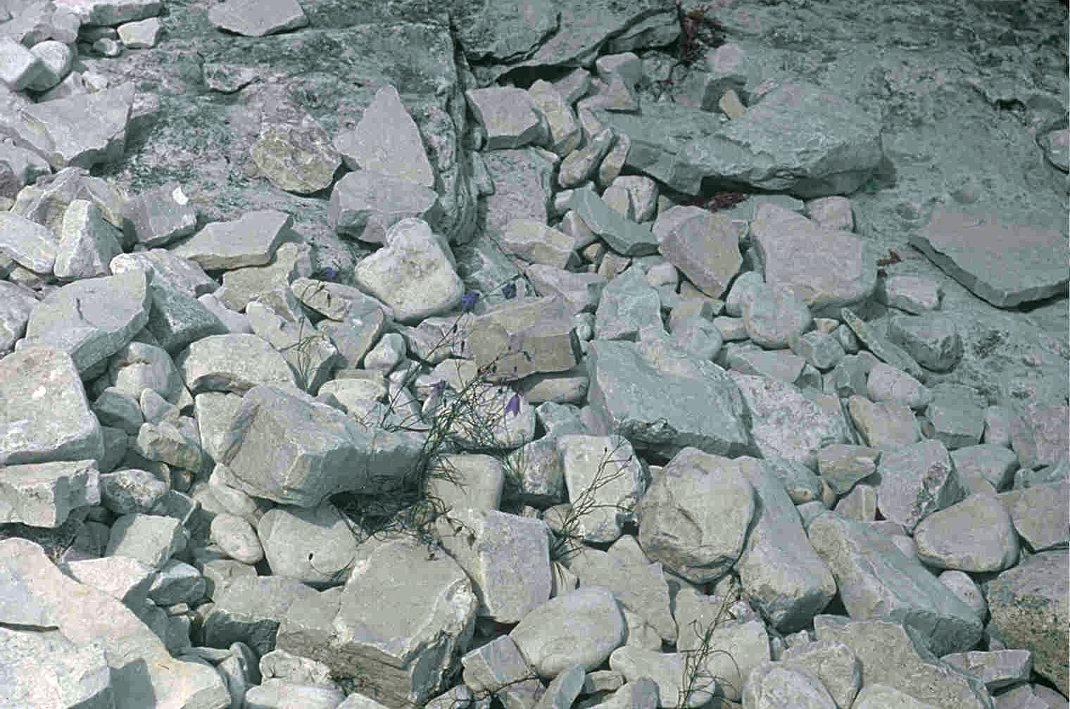 GEOLOGIA: Semana 4: "Meteorizacion de Rocas"