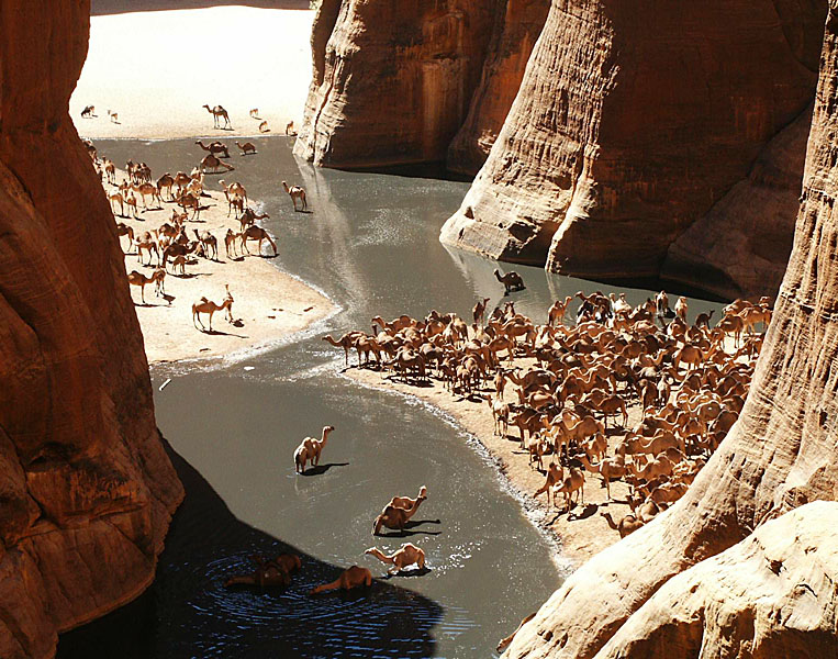 mother nature: Ennedi Plateau and Guelta d'Archei, Chad