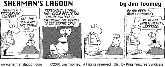 Snow Crab Love: Hermit Crabday!