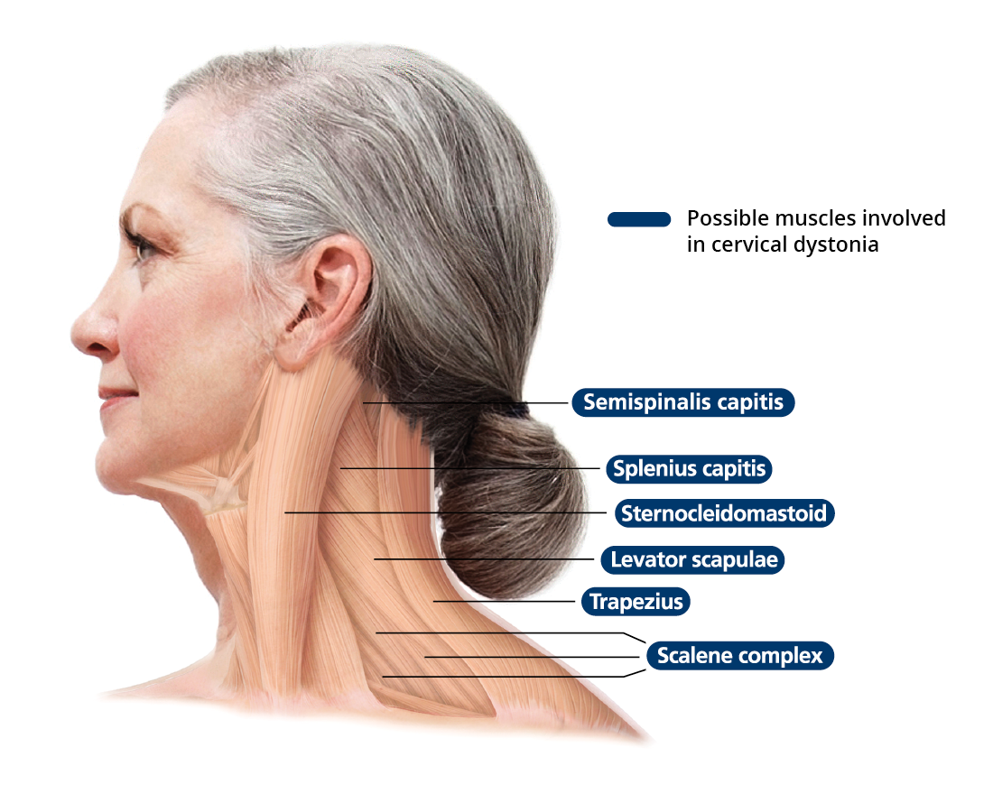 Shake, Rattle, and Roll with the Punches: July 2018