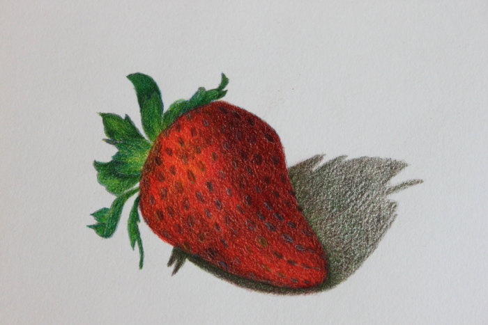 Honeysuckle Cottage and Wisteria Studio: Strawberry - Colored Pencil Study