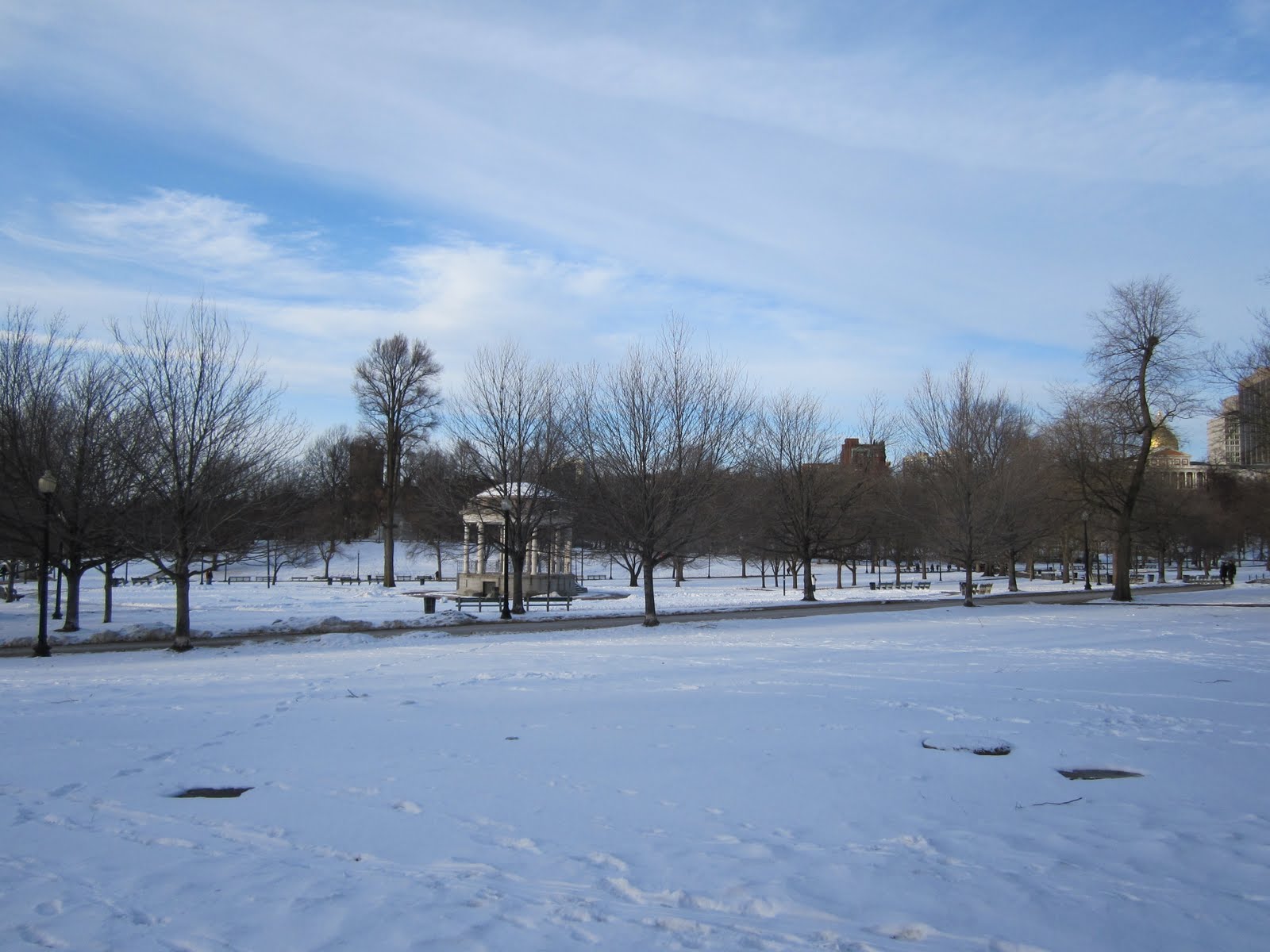 Boston Common & Public Gardens ~ rolling writes