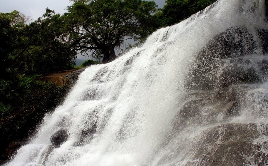 Tamilnadu Tourism: Megamalai