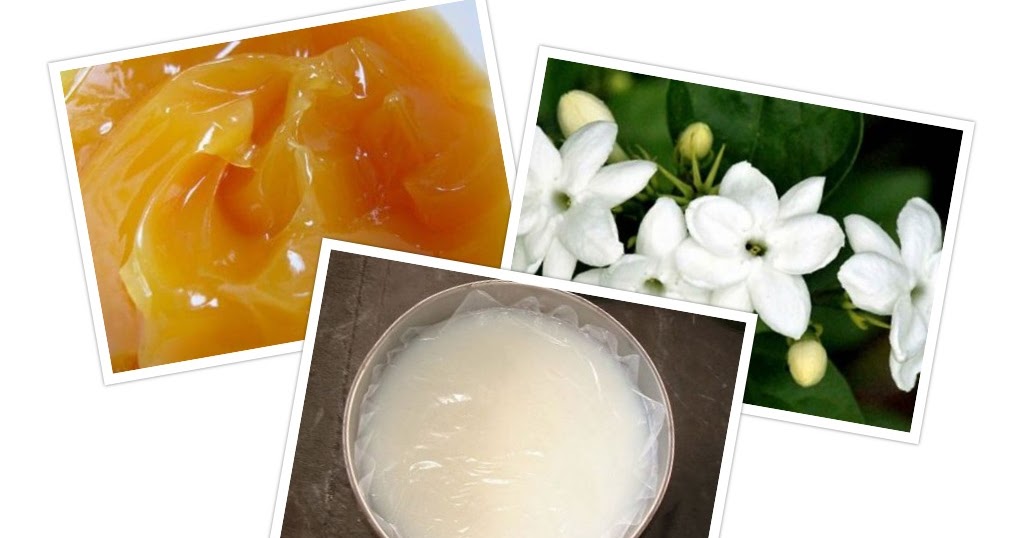 Pharmabroo: Pengertian Simplisia