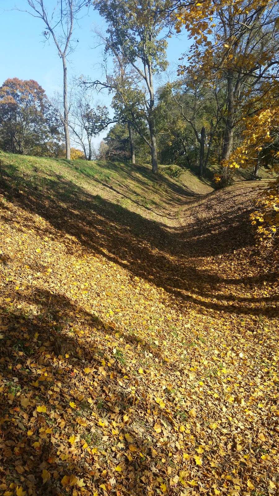 Phreedom Phormula: The Great EarthWork Circle Mounds in Newark, Ohio
