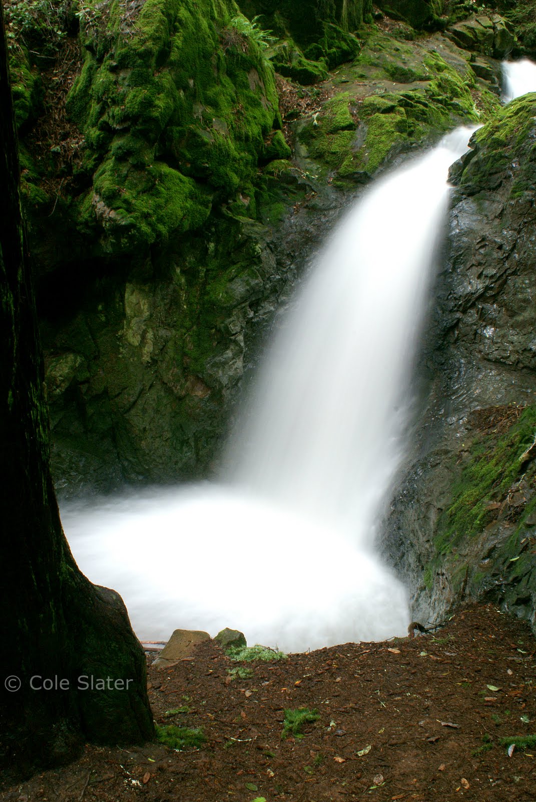 Cole's Trail Tales: Marin Waterfalls Hike - Cascade Falls in Mill ...