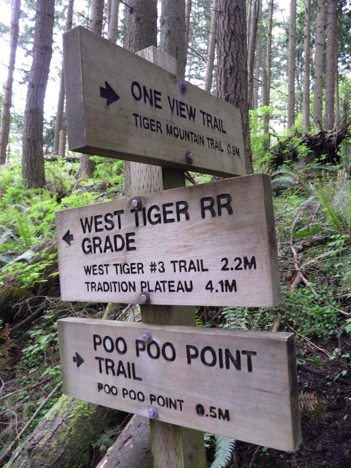 PacificNWCompanion: Poo Poo Point Trail (w/Adventure Trail option ...