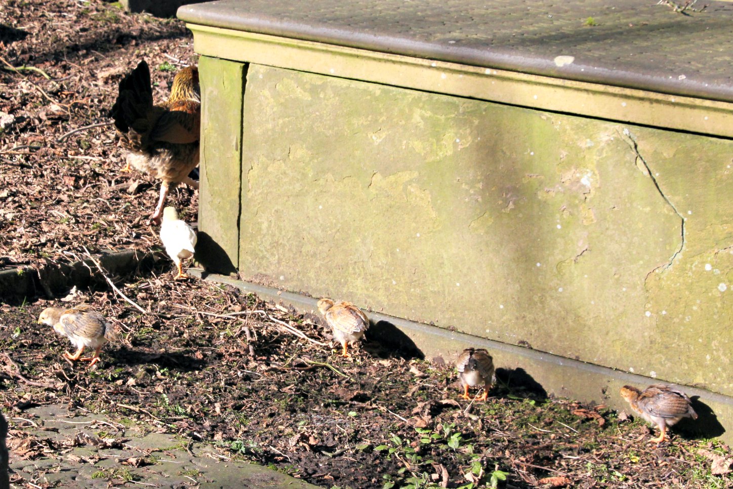 Haworth, the home of the Brontes