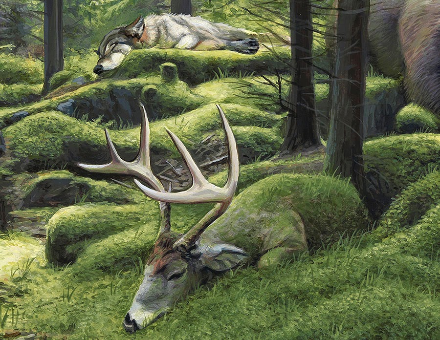 INSIDE THE ROCK POSTER FRAME BLOG: Josh Keyes The Sleeping Woods Print ...