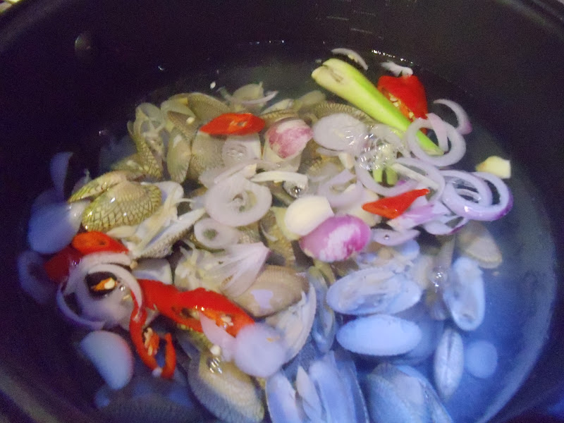 Life is colorful: Step by Step.. Lala Rebus