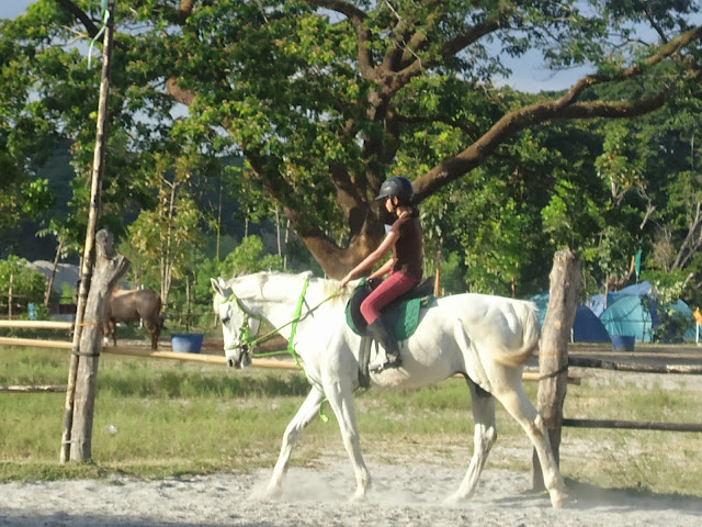 Horse Riding Philippines: May 2013