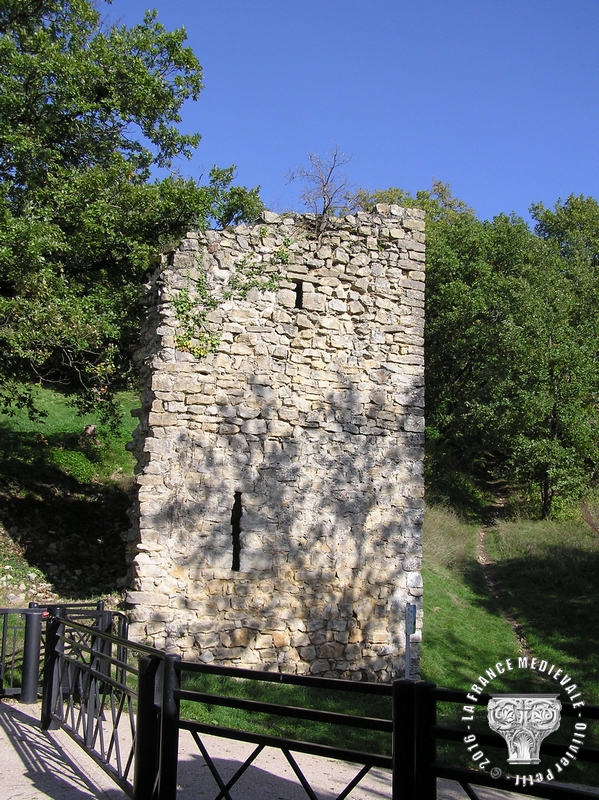 LA FRANCE MEDIEVALE: SAINT-QUENTIN-FALLAVIER (38) - Le château de Fallavier