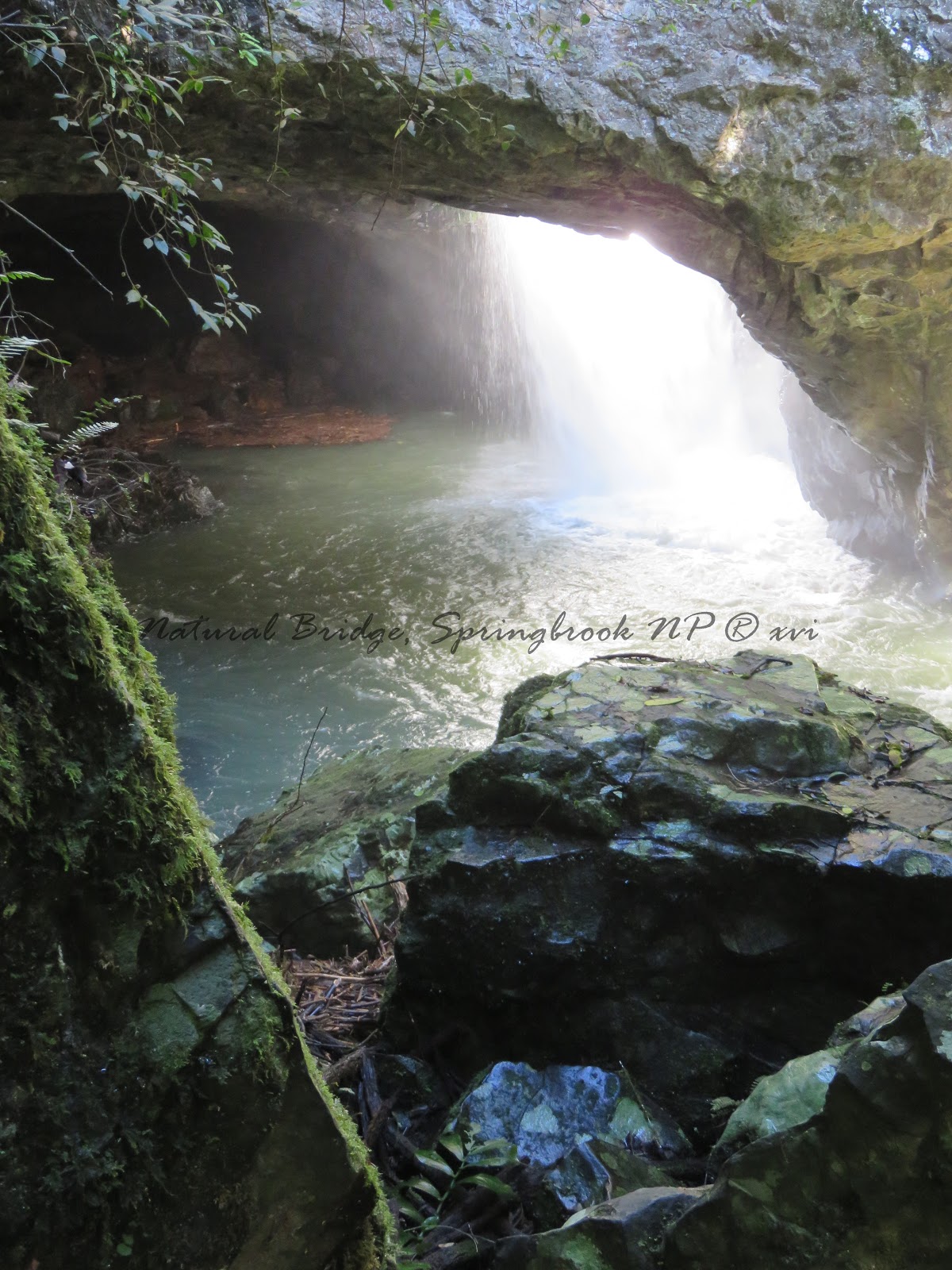 An Igorot Journey: The Waterfalls of Springbrook National Park