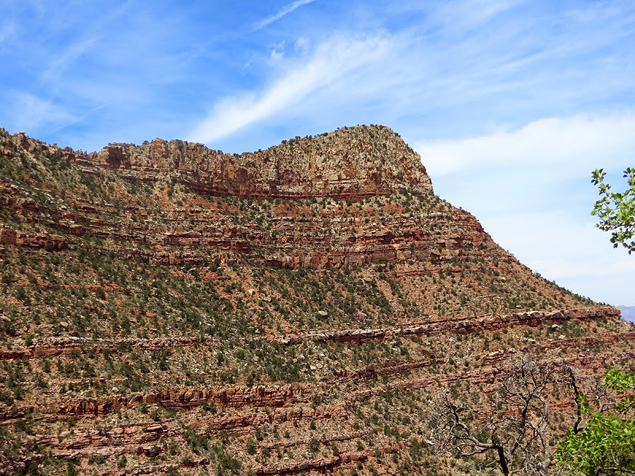 Hiking in the White Mountains: Grand Canyon: Horseshoe Mesa