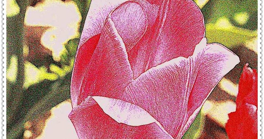 The Scriptures: Mark-05-38