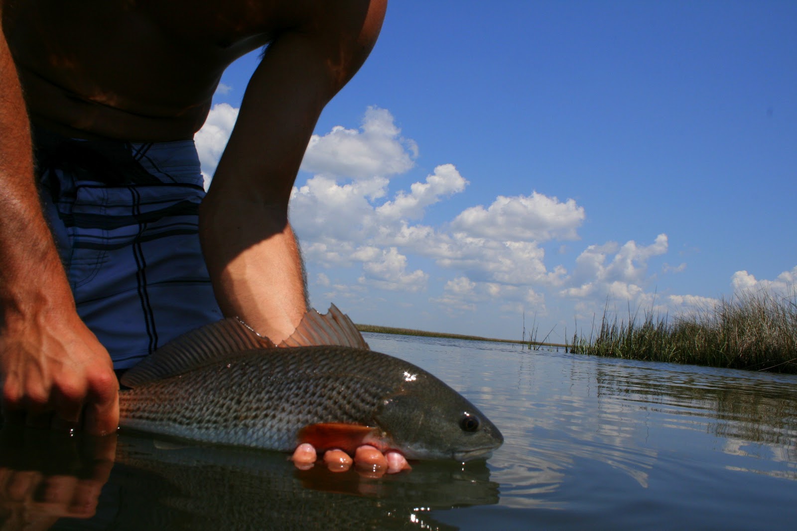 Florida Gheenoe Fishing: April Fools in the Bayou