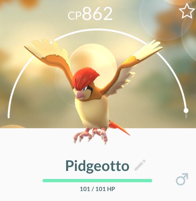 The Birdist: The Birds of Pokemon Go