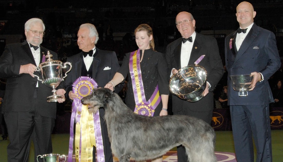 To Dog With Love: Who Will Win THIS Year's Westminster Kennel Club Dog ...