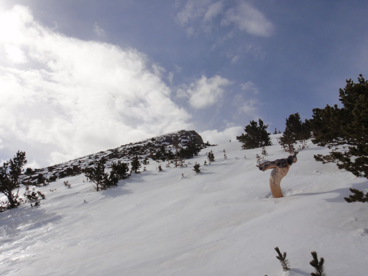 Hiking Rocky Mountain National Park: Half Mountain via Glacier Gorge TH.