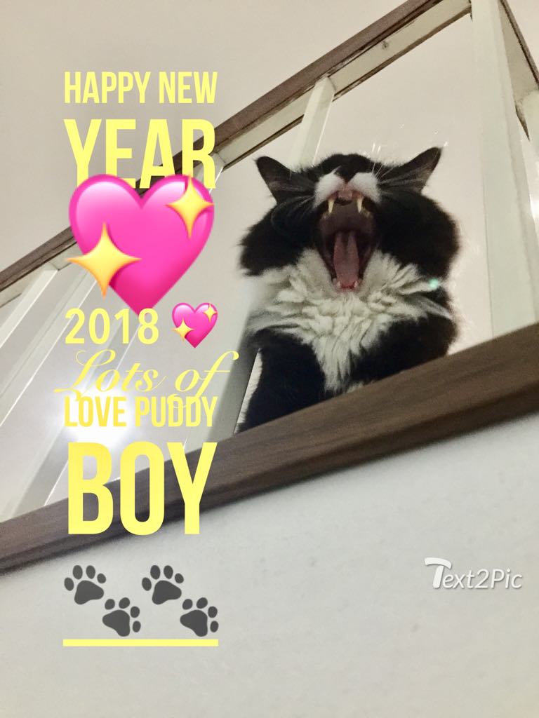 Mr. Puddy +: Bye 2017 .. Hello 2018