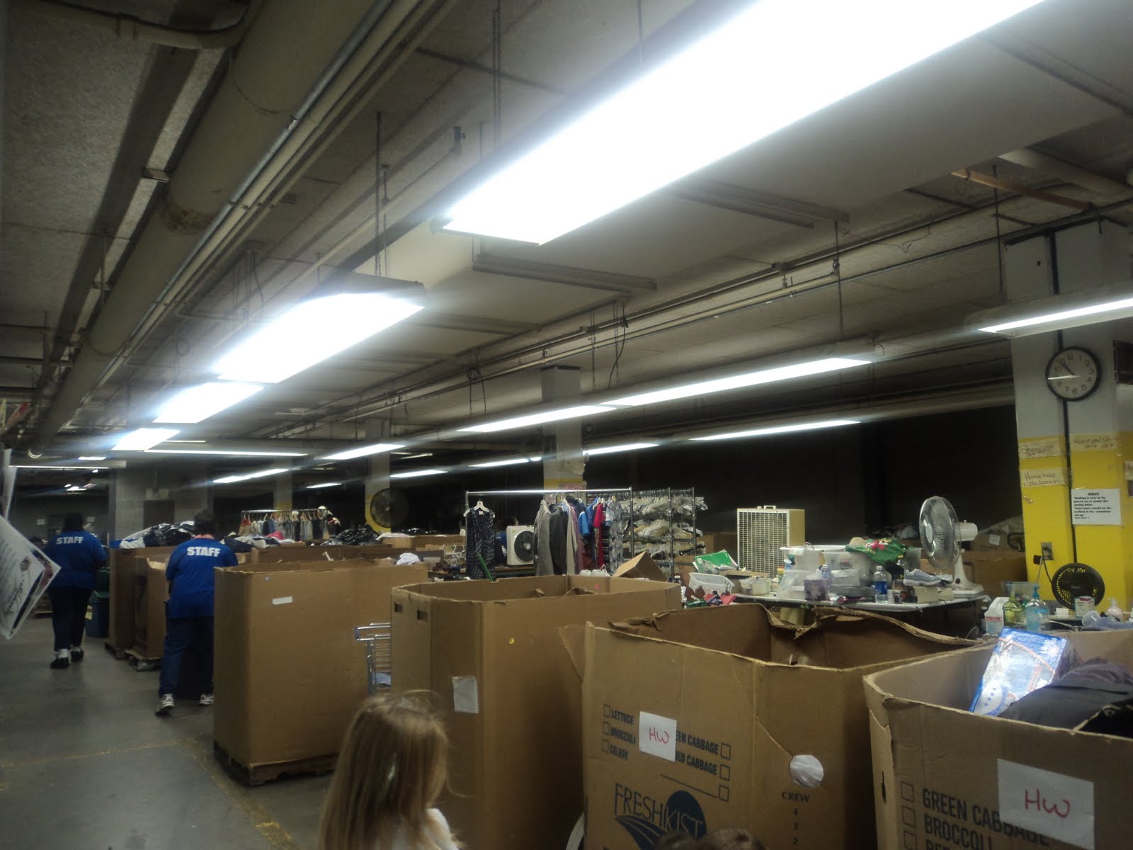 All My Baby Birds: Behind the Scenes at Goodwill Industries
